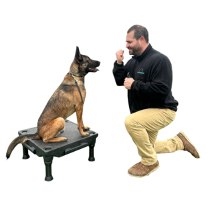 K9 Mania Dog Trainer Academy: Become A Certified Dog Trainer