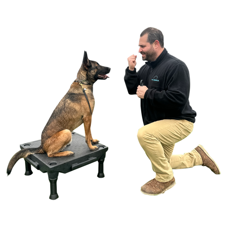 K9 Mania Dog Trainer Academy: Become A Certified Dog Trainer