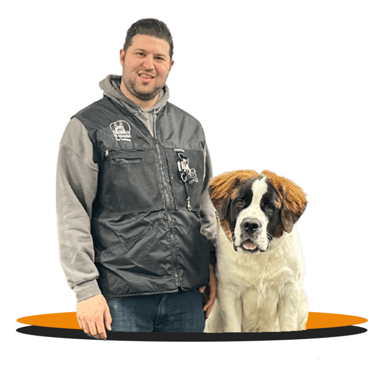 K9 Mania Dog Trainer Academy: Become A Certified Dog Trainer