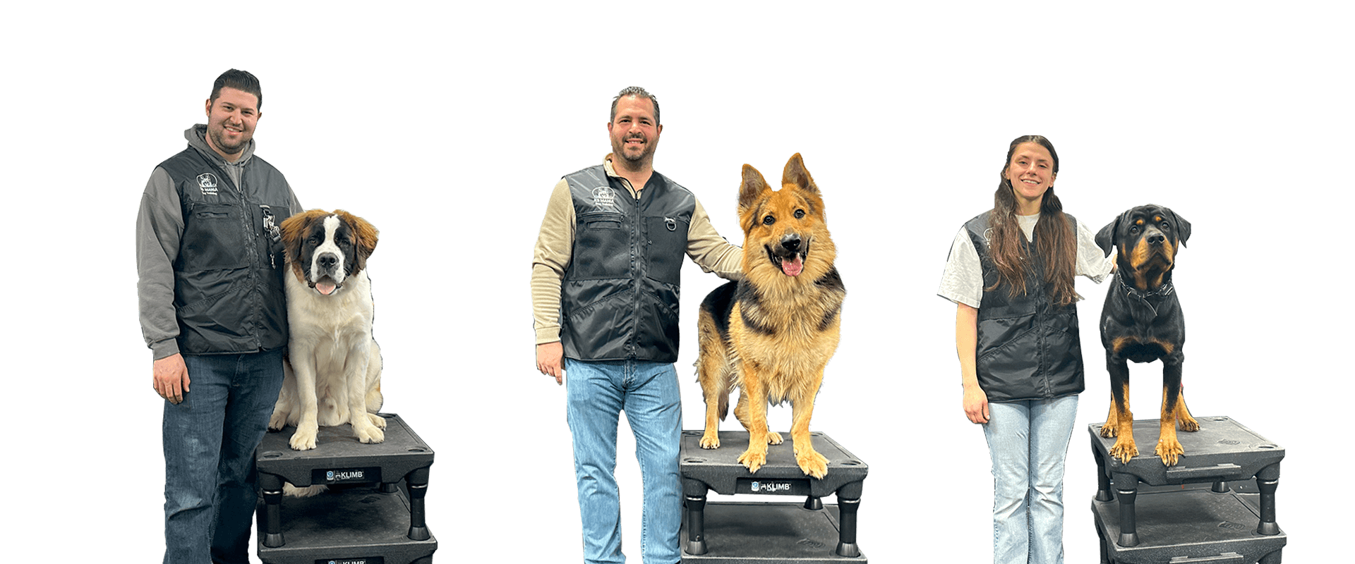 Online Program - K9 Mania Dog Trainer Academy