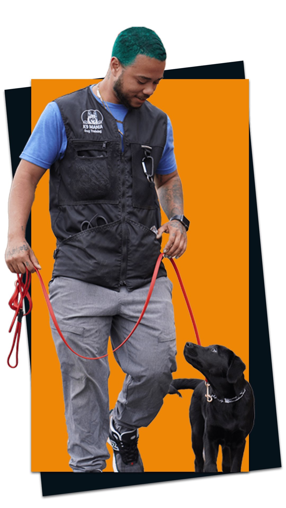 Online Program - K9 Mania Dog Trainer Academy