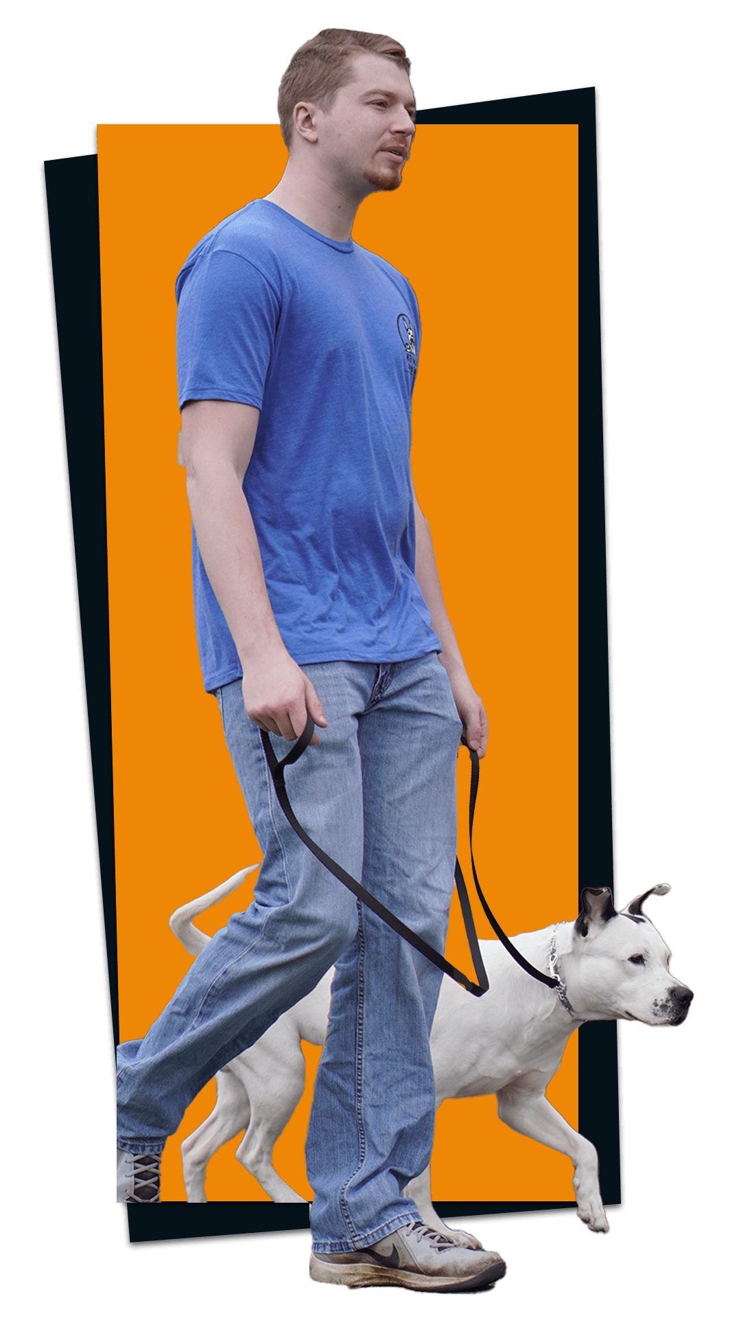 Online Program - K9 Mania Dog Trainer Academy