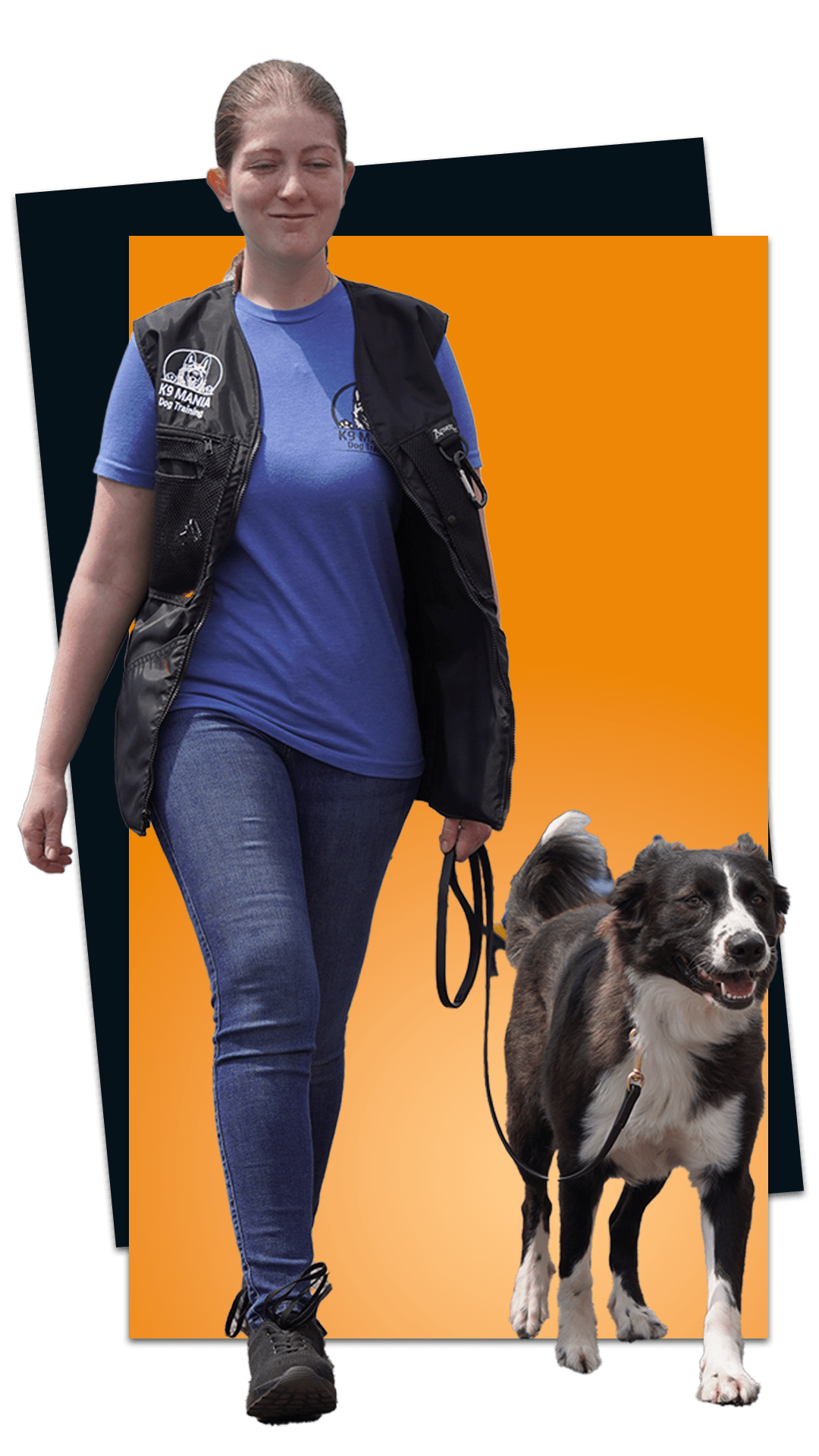 Online Program - K9 Mania Dog Trainer Academy