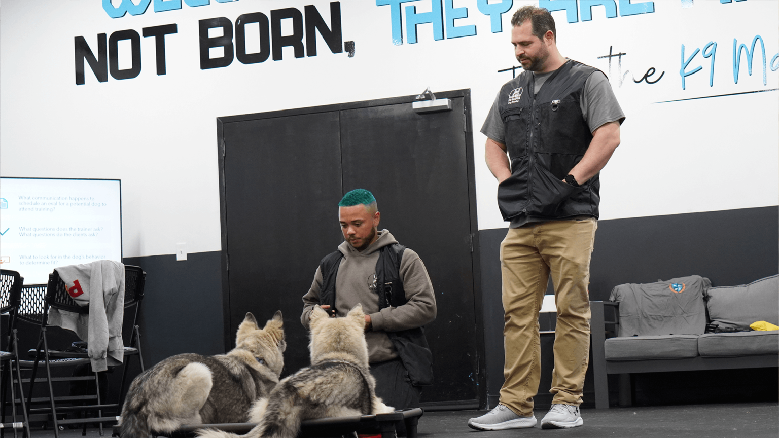 K9 Mania Dog Trainer Academy: Academy For Dog Trainers