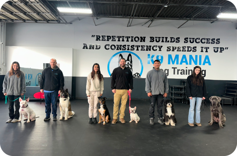 About - K9 Mania Dog Trainer Academy