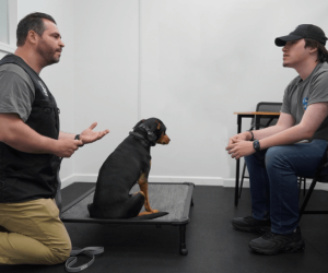 K9 Mania Dog Trainer Academy: Academy For Dog Trainers